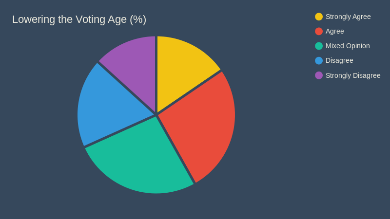 Lowering the Voting Age (%) (pie chart) | ChartBlocks