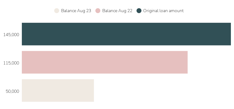 Guildbourne Refurbishment Loans (bar chart) | ChartBlocks